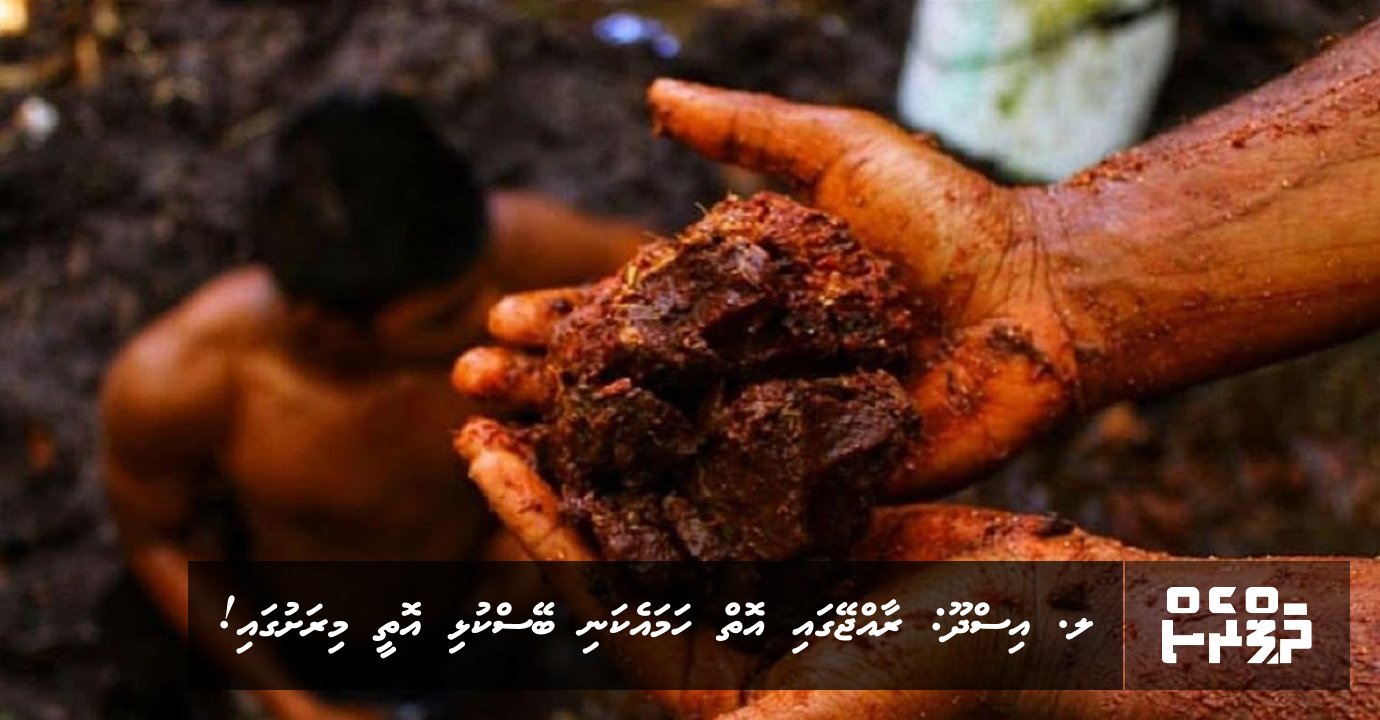 L. isdhoo: Raajjeyge hama ekani beys kulhi oeh rah, mithanun hamuge ...