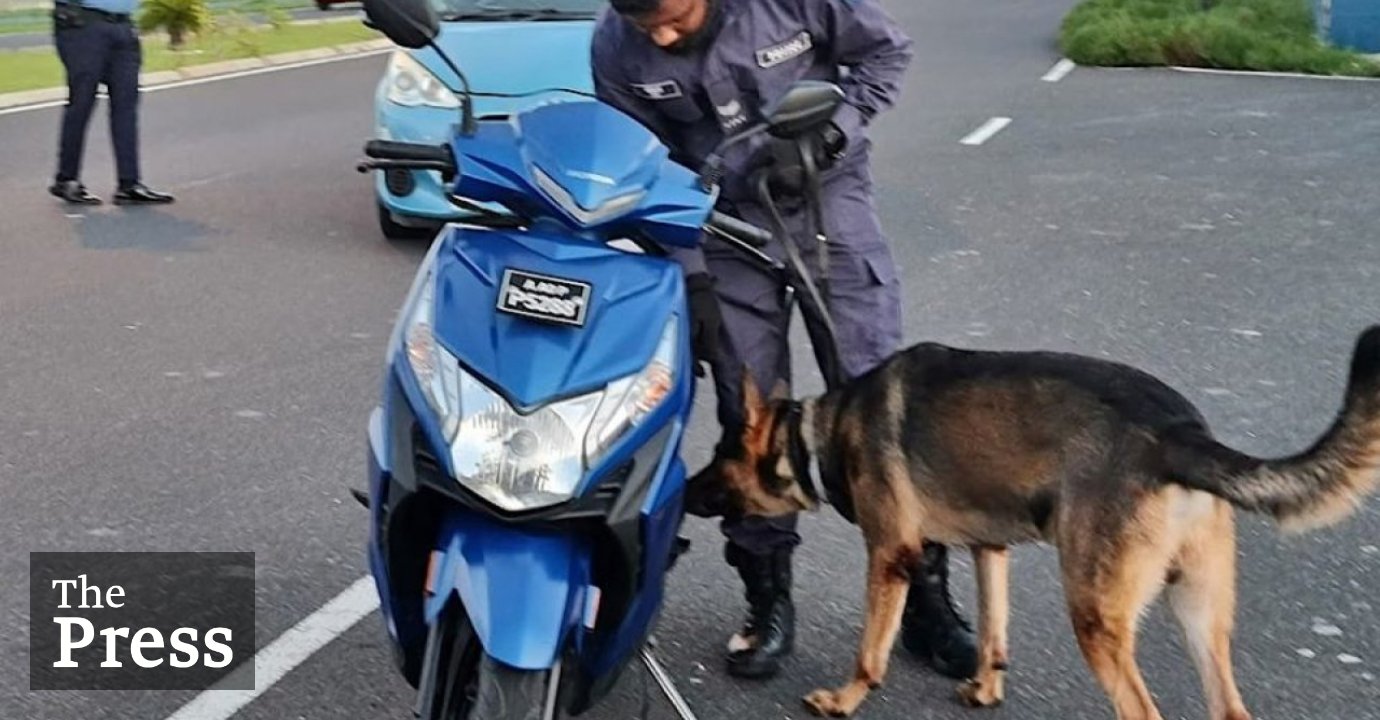 Police begins using dogs to monitor vehicles during traffic | ThePress