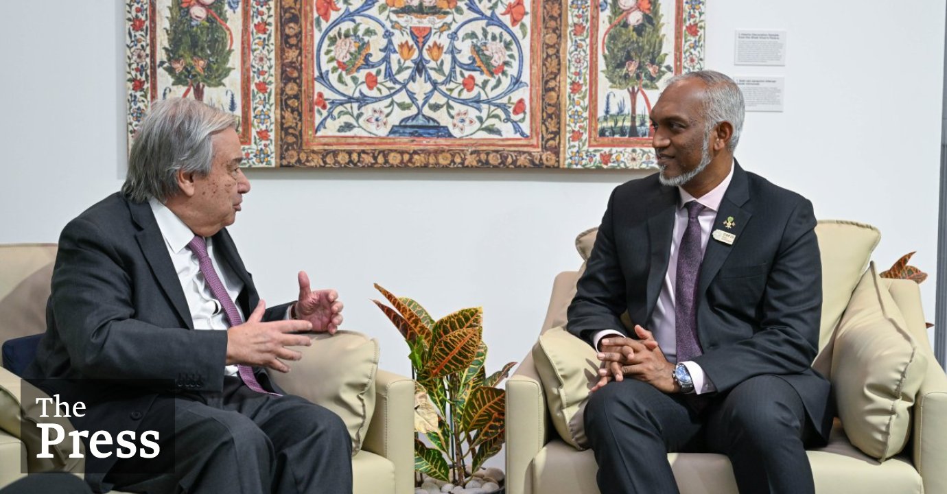 COP 29: President meets with the UN Secretary General | ThePress